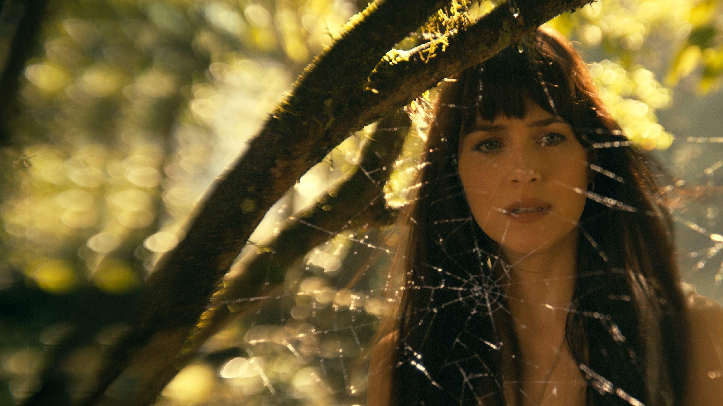 Madame Web | Sony Pictures Australia